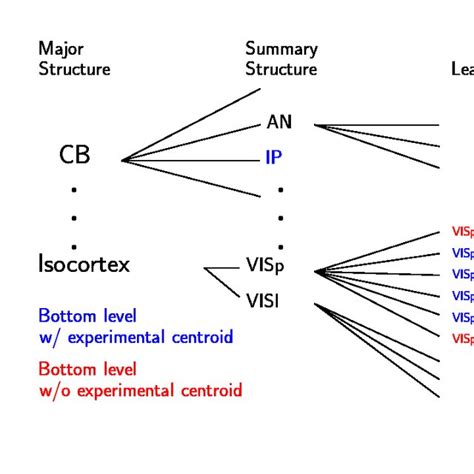 Experimental Setting 1a For Each Experiment A Cre Dependent
