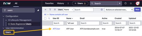 servicenow developers
