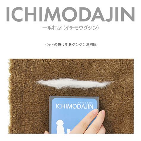 【楽天市場】ペットの抜け毛 掃除 車 カーペット 一毛打尽 ハンディタイプ クリーナー リアライズ 布地ソファ ラグ マット 毛布 ペット用