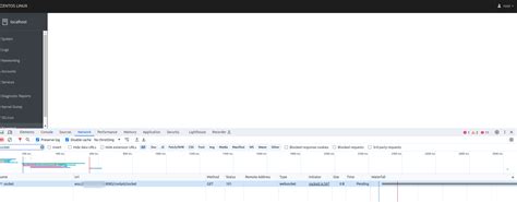Websocket Cockpit Pending When Bitwarden Enable · Issue 6817