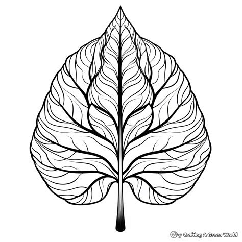 Leaf Anatomy Coloring Page