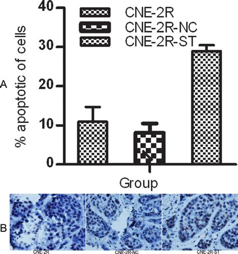 Stat1 Inhibition Might Promote Apoptosis A The Rate Of Apoptosis Was Download Scientific