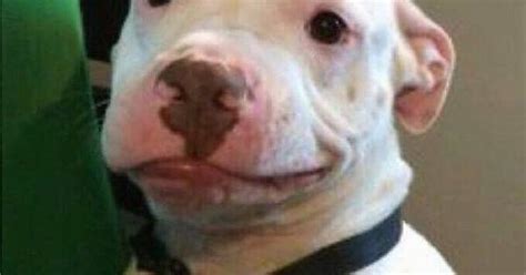 Mrw Browsing Imgur Today Album On Imgur