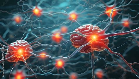 Exploring Neural Networks Insights Into The Human Brain Cognition Neurons And The