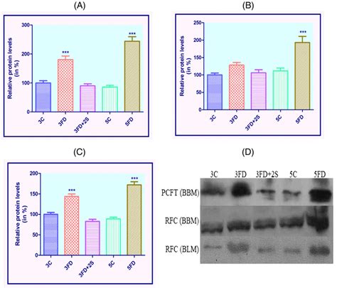 Protein Expression Of Folate Transporters In Rat Intestine A Pcft