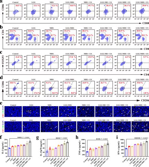 Reprograming Of The Tumor Immunosuppressive Microenvironment By The Download Scientific Diagram