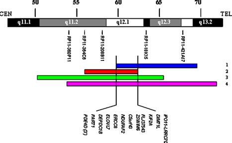 Map Of 5q11 1q13 2 Region Genome Assembly Mars 2006 Indicating