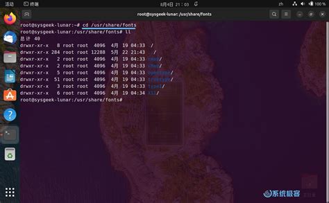 如何在 Linux 中安装新字体 系统极客