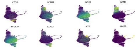 Nk Cells And Ilcs