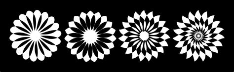 Flowers Design Vector Art 36580804 Vector Art At Vecteezy