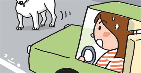 [살며 사랑하며] 길을 잃은 세상