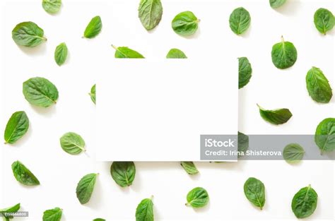 백서에 텍스트에 대 한 공간을 가진 민트 허브의 창조적 인 레이아웃 Mockup 위에서 보기 이미지 건강한 식생활에 대한 스톡