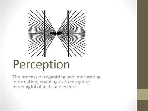 Ppt Perception Powerpoint Presentation Free Download Id2258721