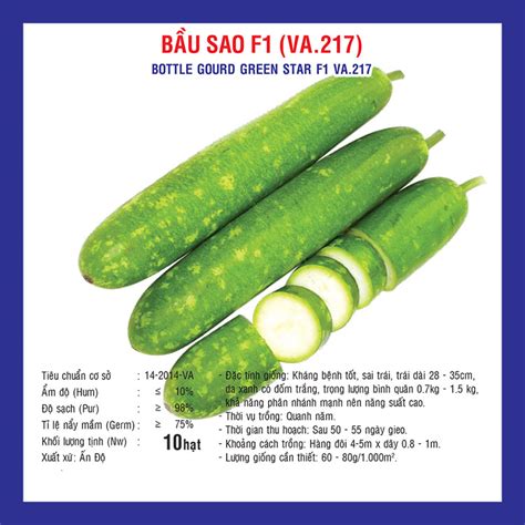 Hạt Giống Bầu Sao F1 Va 217 10 Hạt Hạt Giống Tốt Đông Bẩy