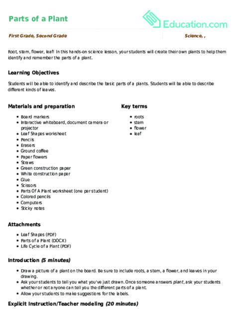 Parts Of A Plant Lesson Plan