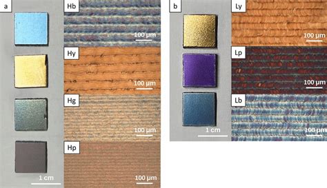 general view and micrographs of the samples processed under the a