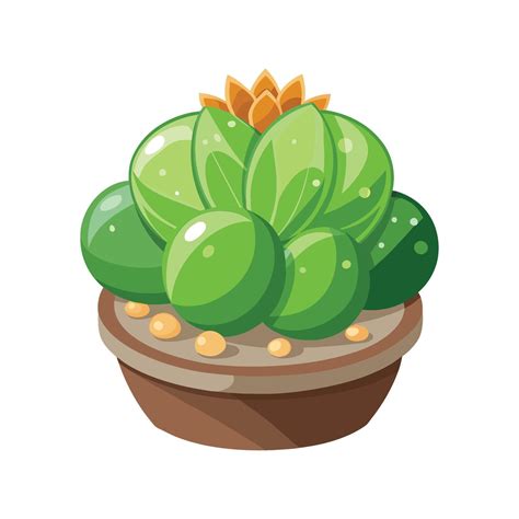Stylish Lesliei Lithops Artwork 57392347 Vector Art At Vecteezy