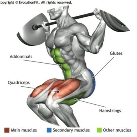 Squat By Dave D Exercise How To Skimble Workout Trainer