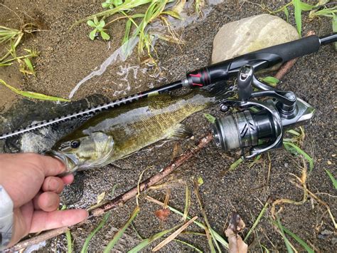 大物ハンターぶーん さんの 2023年08月23日のスモールマウスバスの釣り・釣果情報東京都 成木川 アングラーズ 釣果400