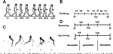 Figure 1 From Kinematics And Kinetics Of Gait From Lab To Clinic