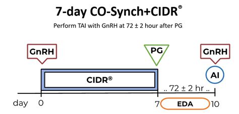 Sexed Semen Protocols Beef Reproduction Task Force