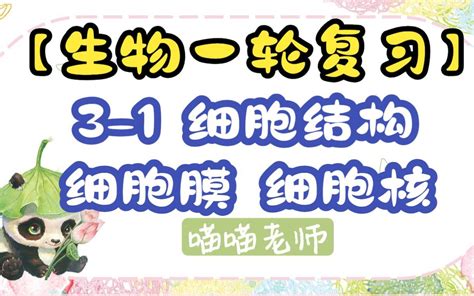 【细胞基础】3 1细胞结构 细胞膜和细胞核【一轮复习】 哔哩哔哩