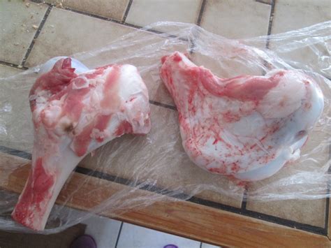 Comment Occuper Un Chien Pendant Une Absence
