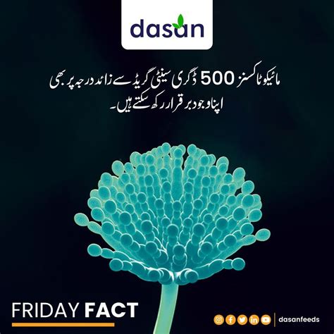 Dasan Fridayfact Glass Milk Cow Dasanfeeds Blessfriday Dasan Feeds