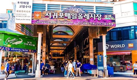Jeju Travel Blog Jeju Blog — The Fullest Guide For A Budget Trip To