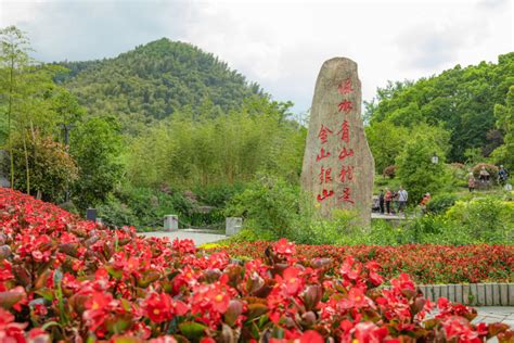 国家税务总局浙江省税务局 税收助力共同富裕 浙江安吉：探寻绿水青山“共富路”上的“最美税企关系”