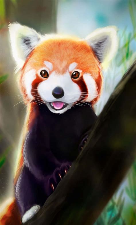 200 Red Panda Pictures