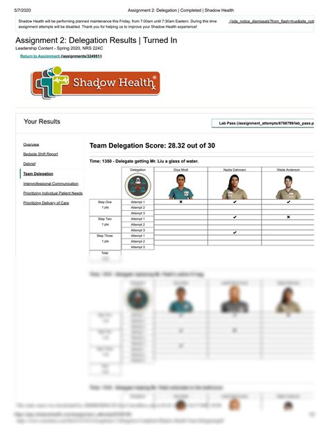 Solution Assignment 2 Delegation Completed Shadow Health Team