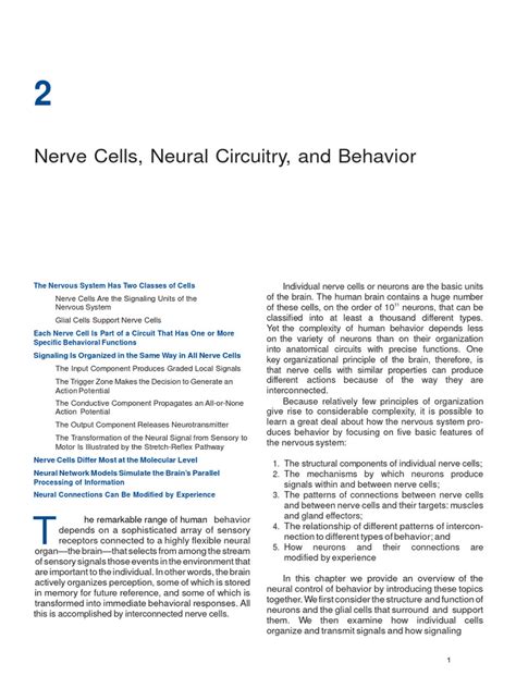 Chapter 2 Reading Pdf Neuron Axon