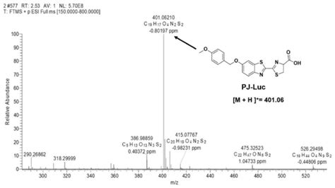 P J