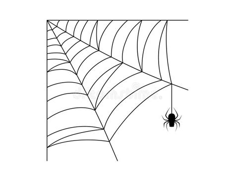 Spider Web Halloween Spiderweb And Spider Hanging Spider Web Illustration Stock Vector