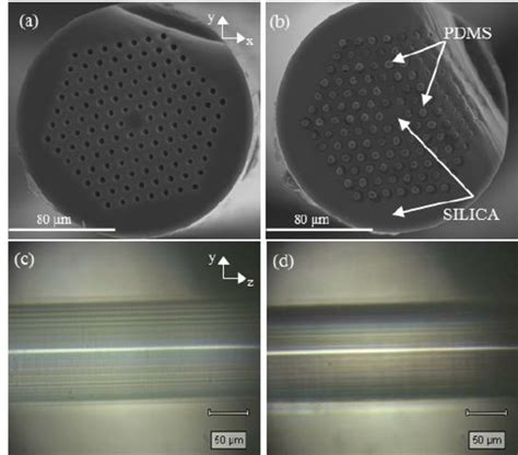 Scanning Electron Microscope Sem Image Of A A Conventional Esm Pcf