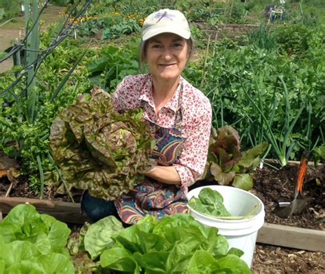Quality 100 Organic NON GMO Seeds High Mowing Organic Seeds
