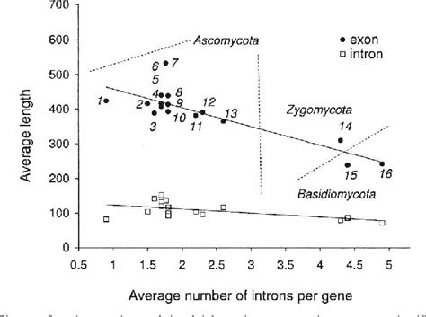 Figure 1 From Gene Prediction In Novel Fungal Genomes Using An Ab Initio Algorithm With