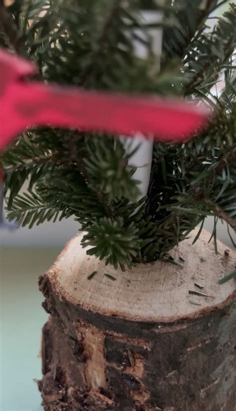 Sustainable Diy Mini Christmas Tree — The Tiny Canal Cottage