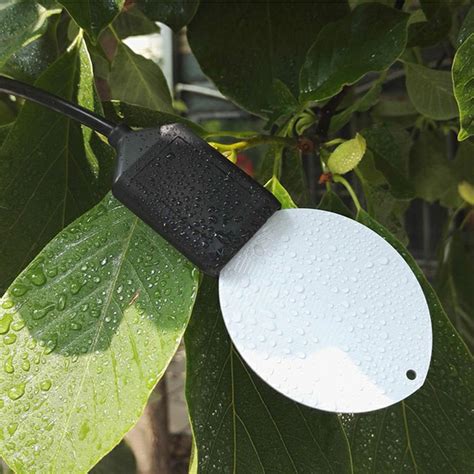 Leaf Wetness Sensorshandong Fengtu Iot Technology Co Ltd Leaf Wetness Sensorshandong Fengtu Iot Technology Co Ltd