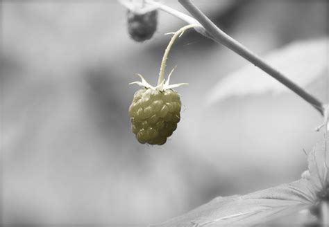 A Brief Guide To The Intel Movidius Neural Compute Stick With Raspberry Pi 3 Fritz Ai