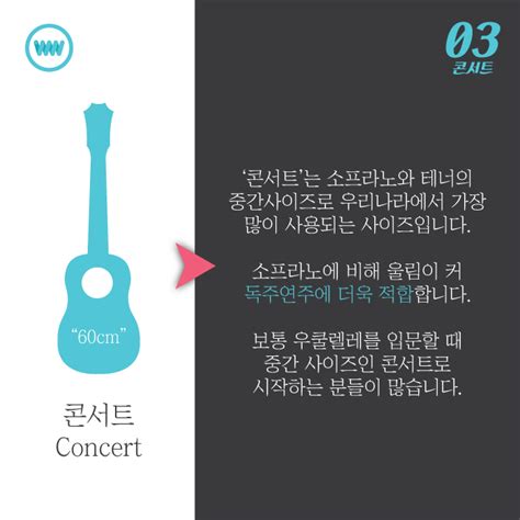 위키위키 [우쿨렐레 배우기]사이즈별 우쿨렐레 종류의 이해 소프라노 콘서트 테너 사이즈 우쿨렐레들의 Facebook