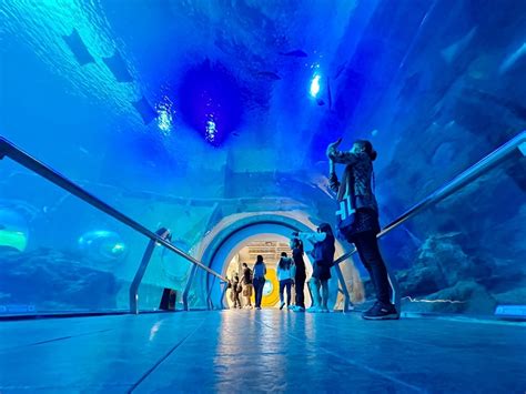 屏東｜國立海洋生物博物館：參觀海底隧道珊瑚礁生態、體驗沉船探險，親子共遊超棒的！ 輕旅行