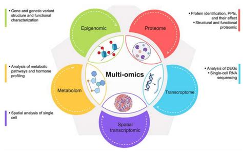 Gpb 单细胞多组学技术植物领域研究再添新作 百迈客生物