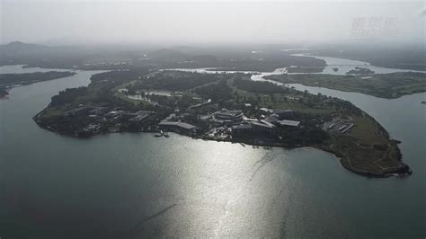 博鳌时间：高水平开放下中国经济展现新动能凤凰网视频凤凰网