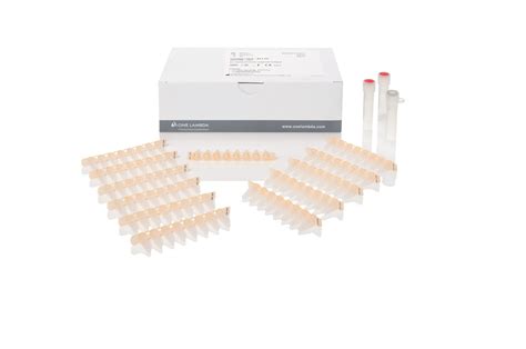 Linksēq™ Hla B27 Typing Kit Compatible With Applied Biosystems™ Fast
