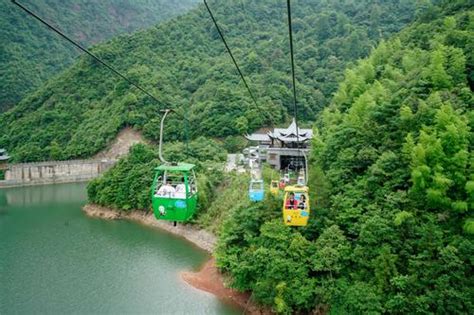 卡钳抱索器 漂流索道 轮衬 锻造抱索器 单双托轮生产厂家 广川科技