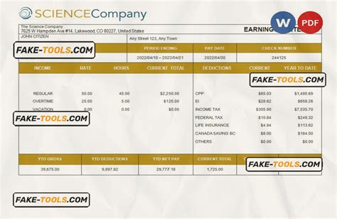 USA The Science Company Science Company Pay Stub Word And PDF Template