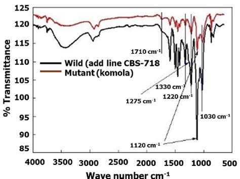 Ftir Spectra At Different Wave Lengths Download Scientific Diagram