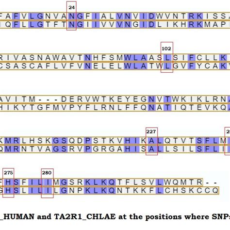 Hierarchical Relationship Of Type 1 Taste Receptors Based On Amino Acid